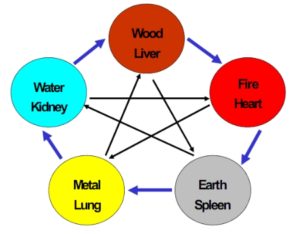 Five Elements Theory 101 - Tai Chi Basics