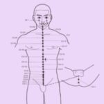 Conception Vessel - Points, Definition, and Case Study of Positive Change